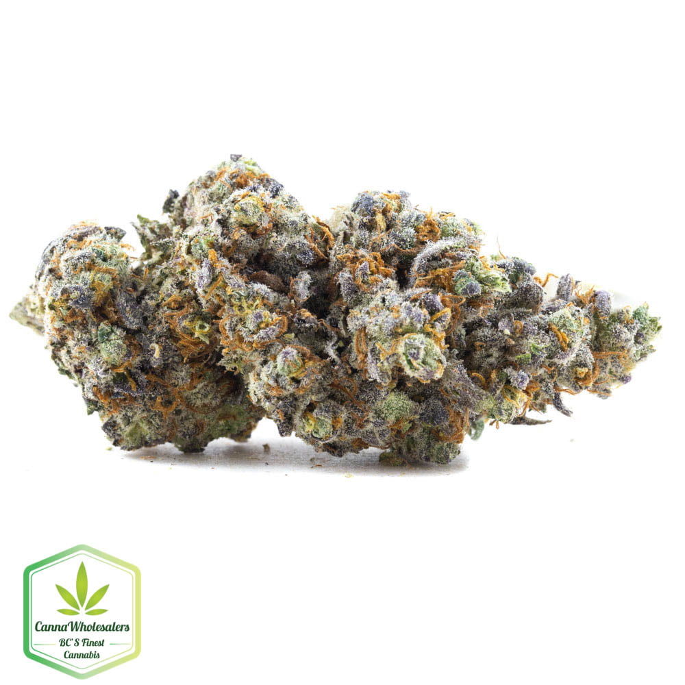 Buy Cake Crasher - Craft Gardens Online | Canna Wholesalers Canadian ...