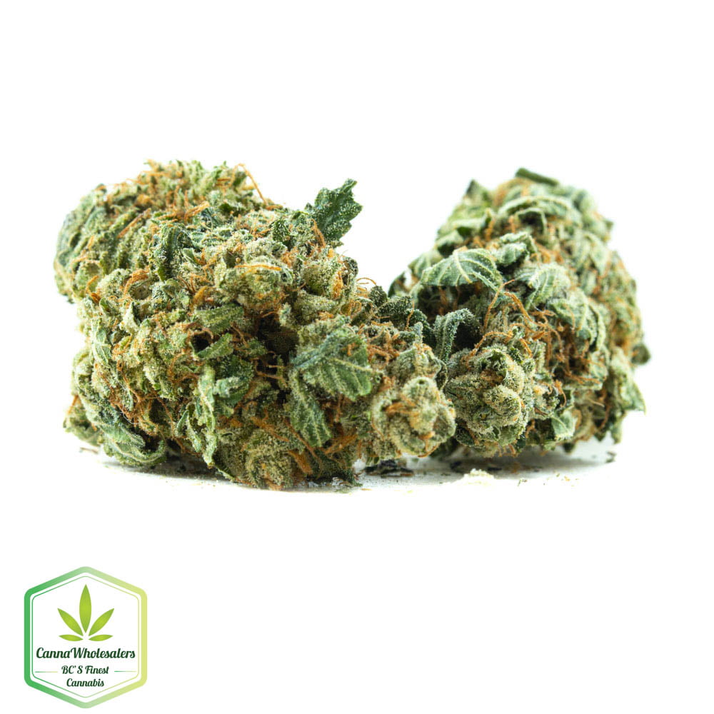 Buy Budget Oz - California Hash Plant Online | Canna Wholesalers ...