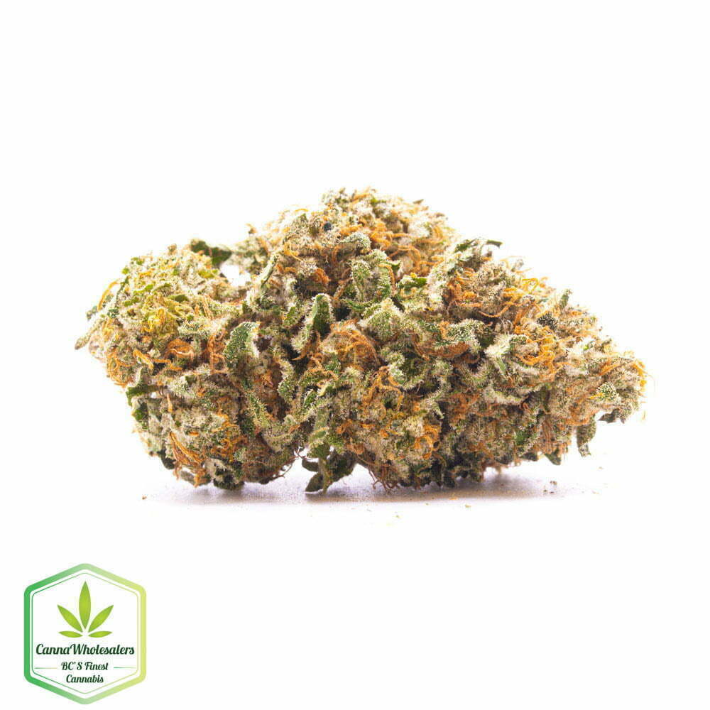 Buy Martian Candy Online | Canna Wholesalers Canadian Dispensary