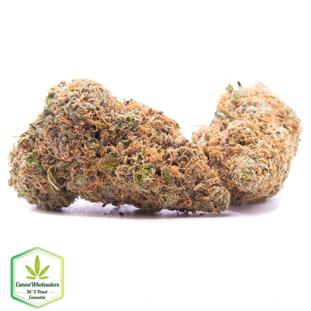 Buy Budget Oz - Inzane in the Membrane Online | Canna Wholesalers