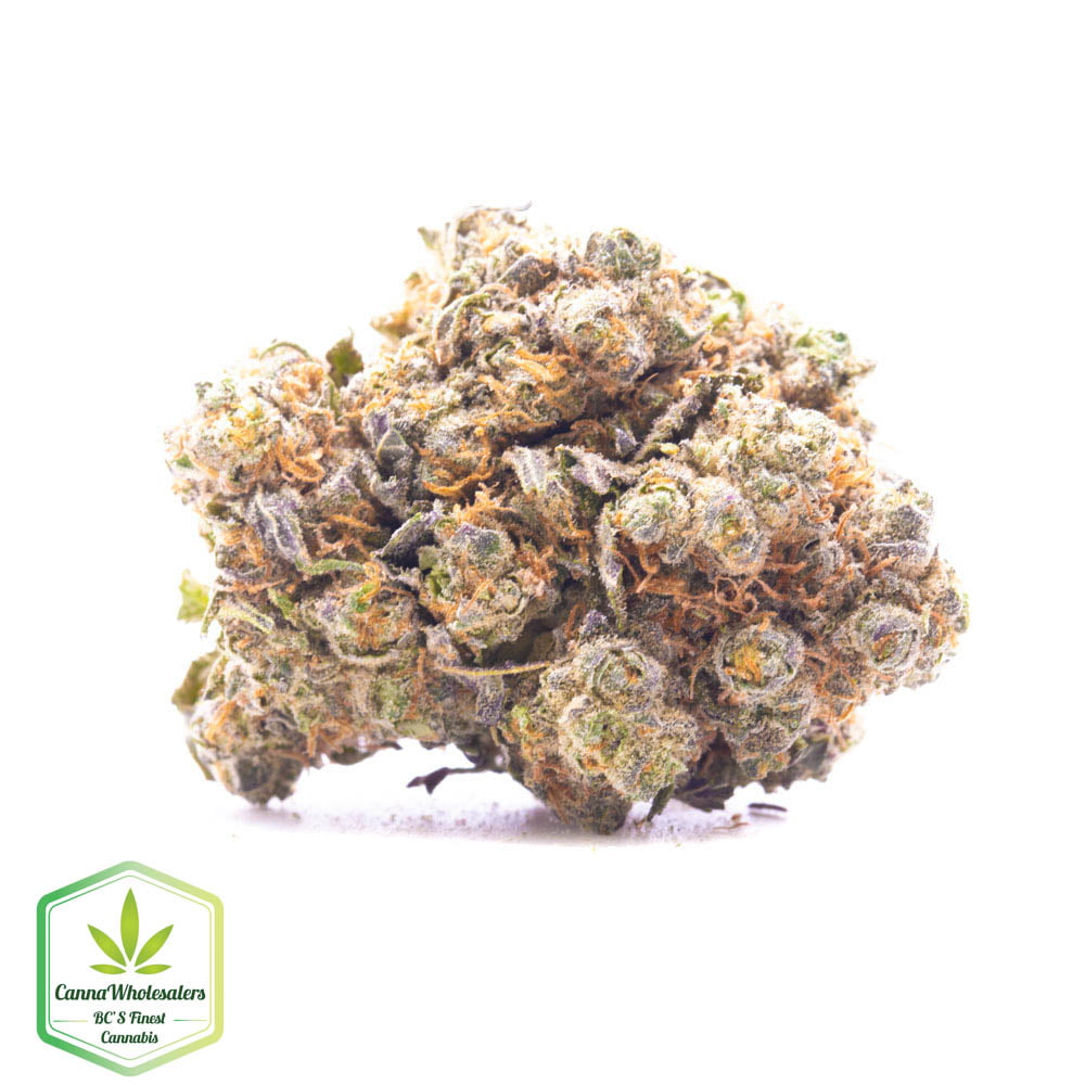 Buy Martian Candy Online | Canna Wholesalers